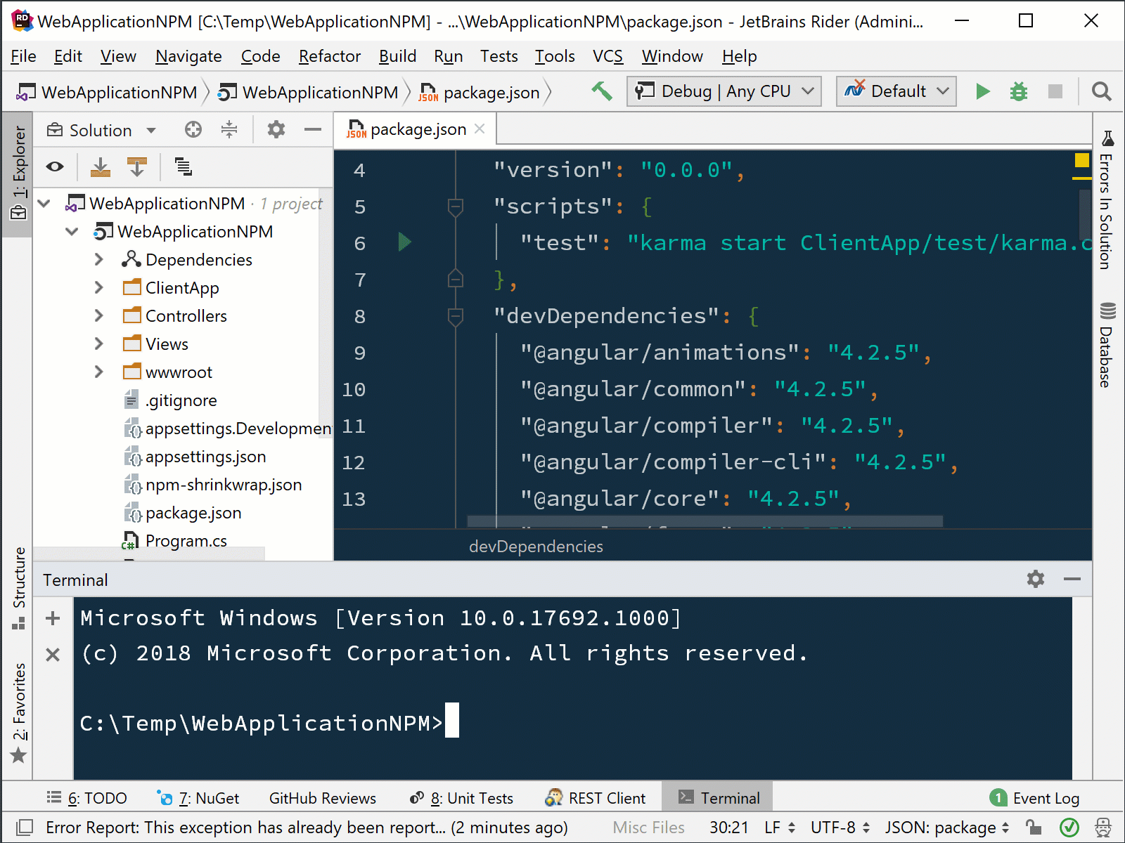 Working with NPM and Yarn in Rider | The .NET Tools Blog