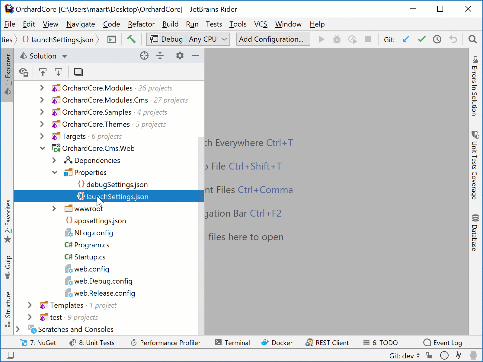 Using .NET Core launchSettings.json to run/debug apps in Rider | The .NET Tools Blog