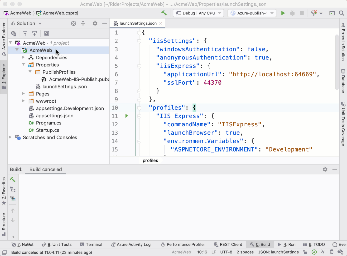 Publishing applications to IIS, Azure, AWS and more - using Rider ...