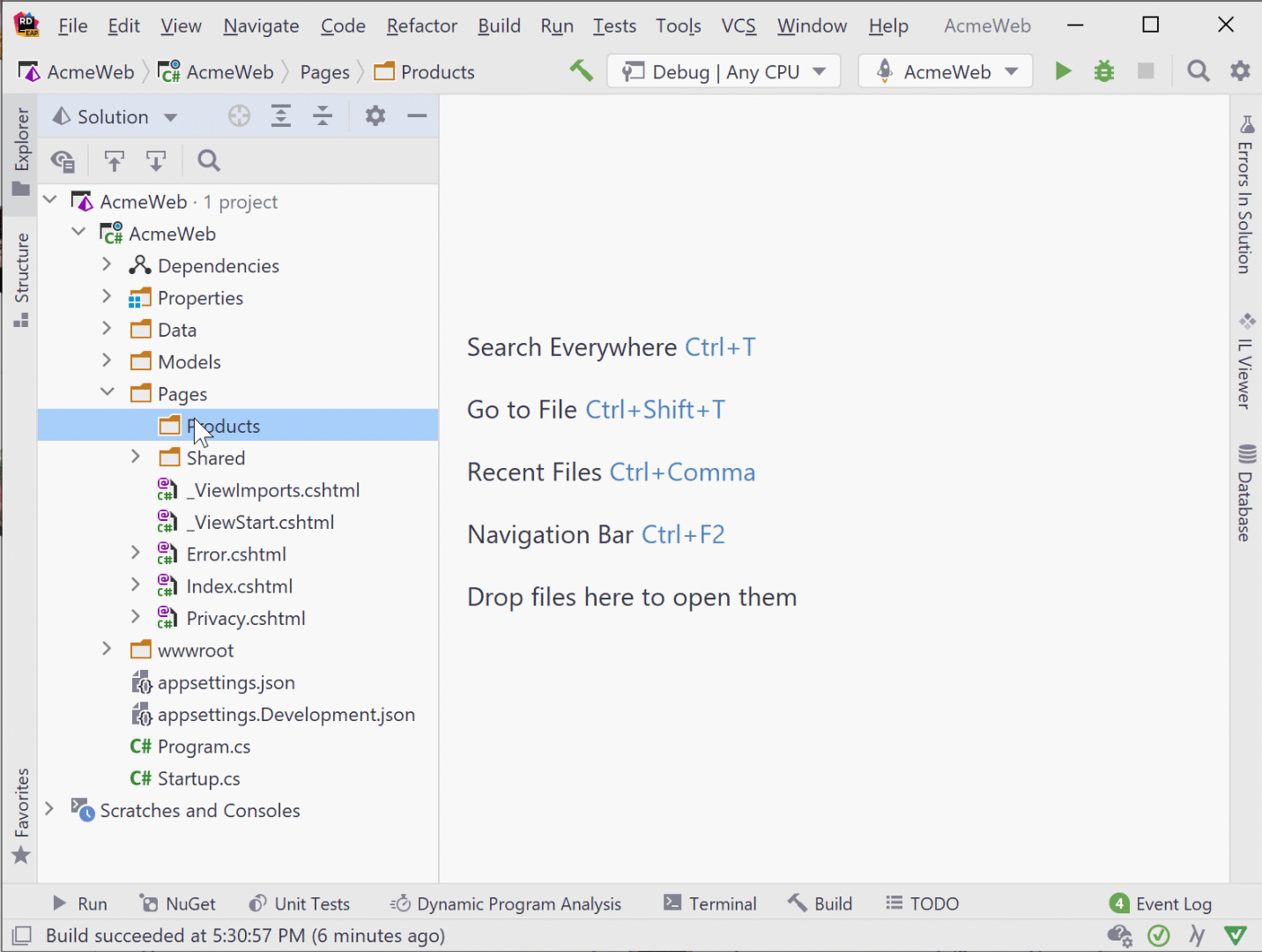 Scaffolding for ASP.NET Core projects comes to Rider 2021.1 | The .NET ...