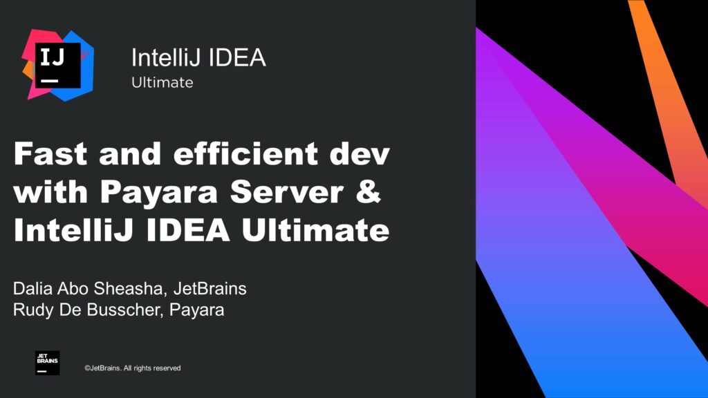 Fast and efficient development with Payara Server & IntelliJ IDEA ...