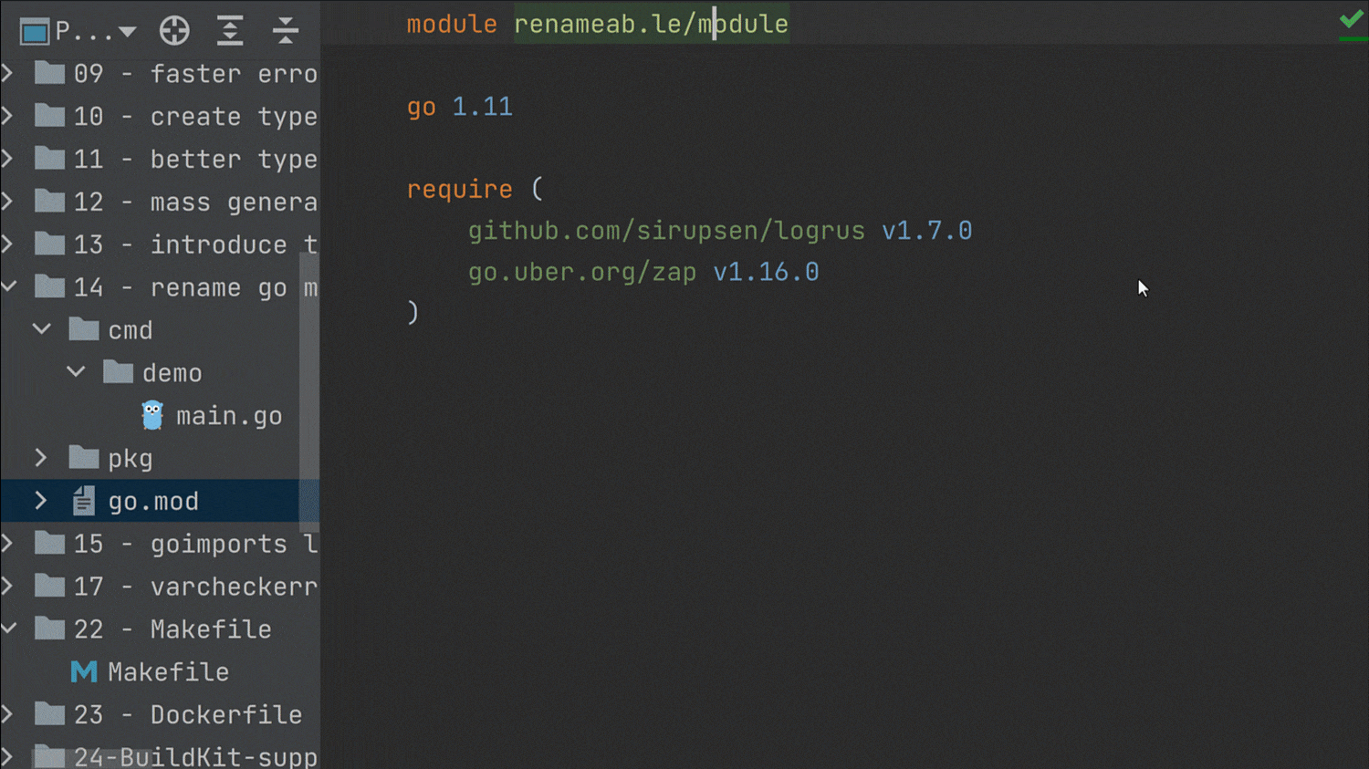 Go Goland Ide Not Correctly Compiling How To Setup
