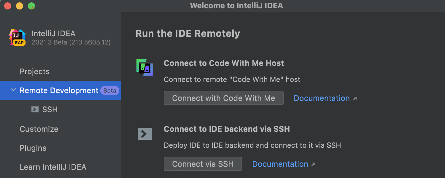IntelliJ IDEA 2021 3 Goes Beta LaptrinhX News