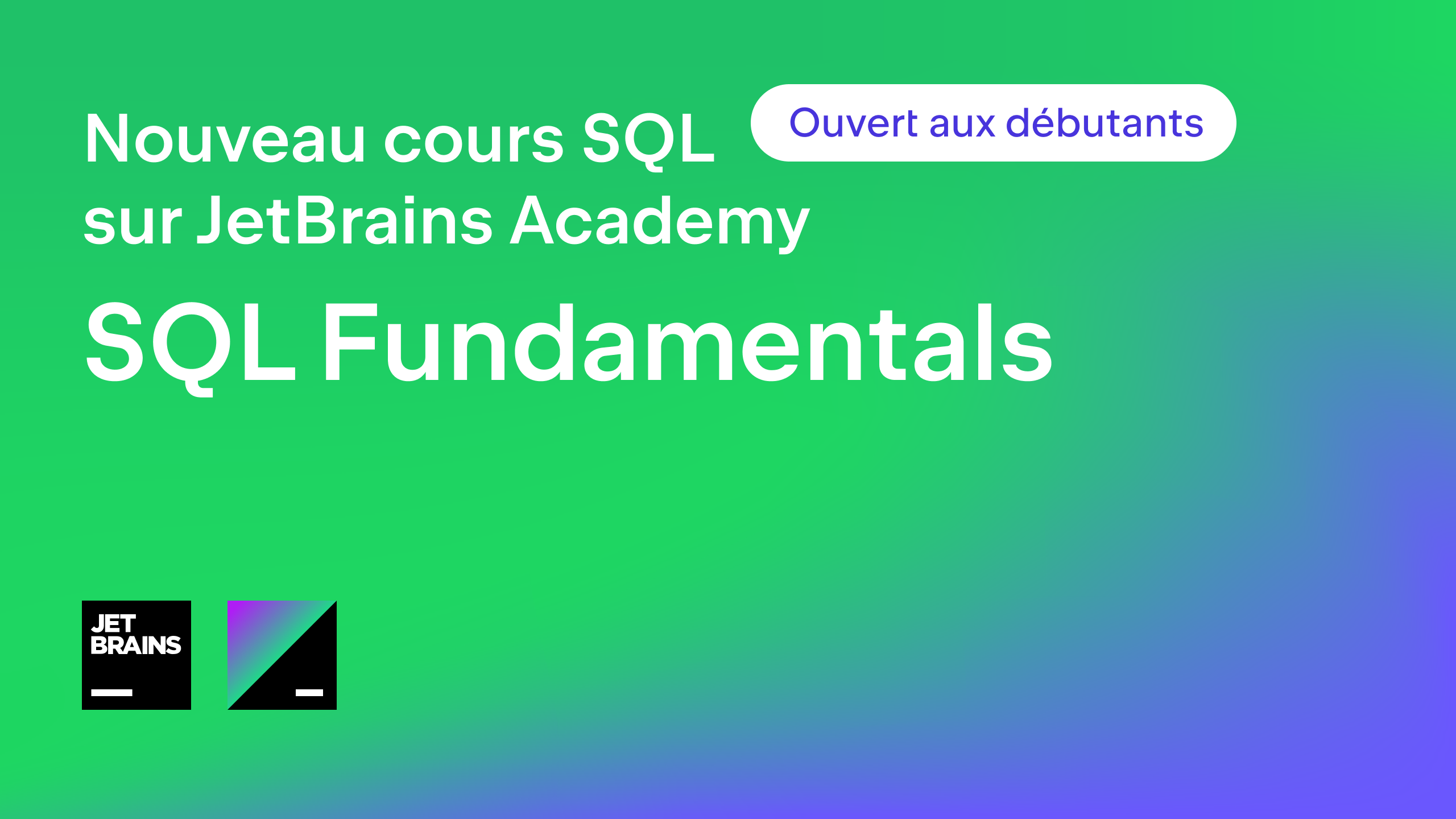 Formation SQL Fundamentals sur JetBrains Academy | The JetBrains Academy Blog