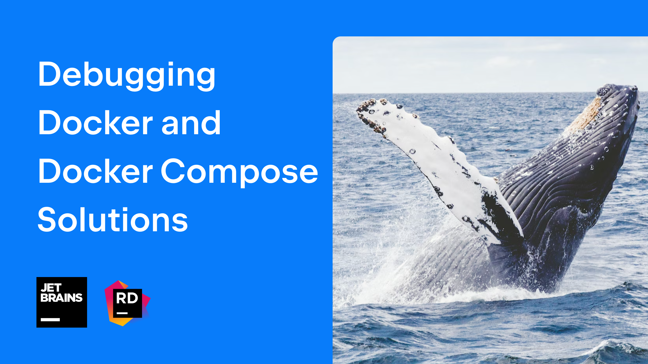 How To Debug Docker And Docker Compose Solutions With Jetbrains Rider